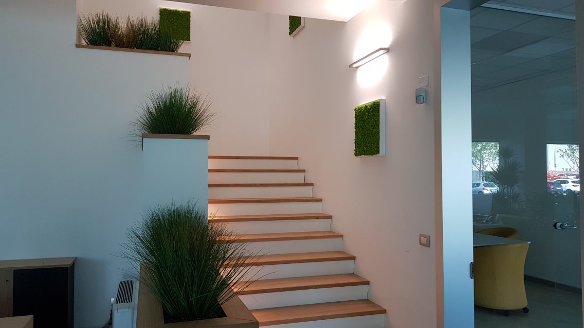 DASTY Italy Spa sceglie BM™ Piante Artificiali per arredare la Hall d ...