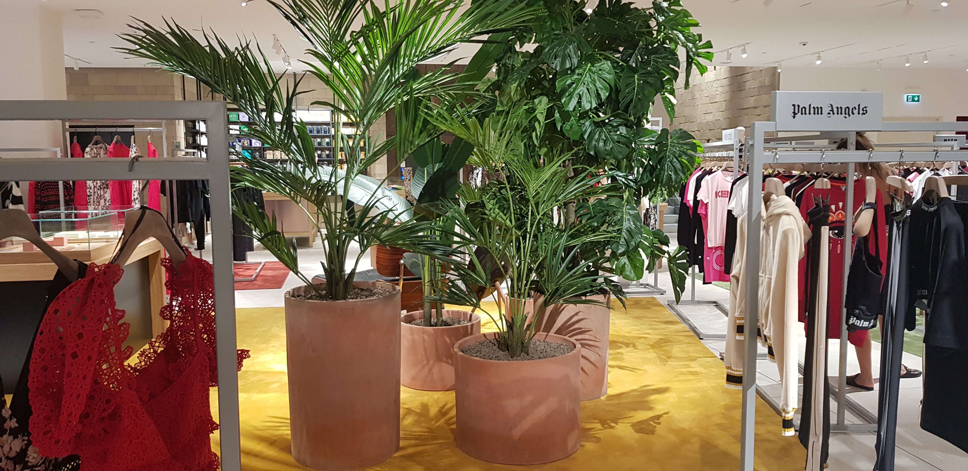La RINASCENTE Spa, Grande cliente della BM Luxury™ Piante ARTIFICIALI ...